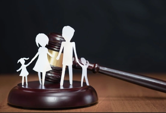 The Role of a Court Appointed Legal Guardian